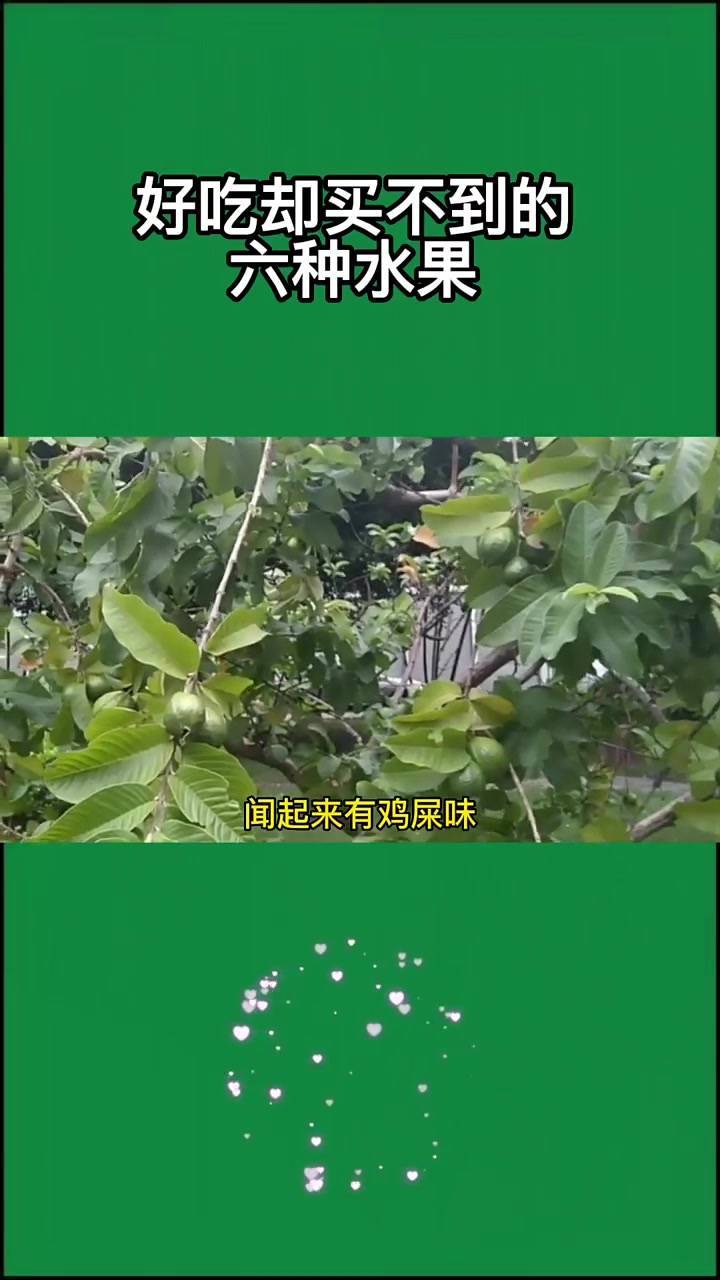 这些美味却难以买到的六款水果,你尝过几个