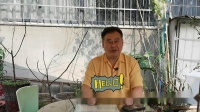 企业微信可以转发视频号直播