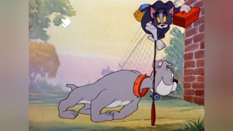 经典动画猫和老鼠快乐每一天呦