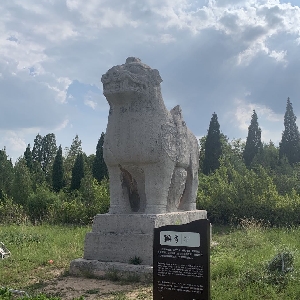 大唐文化基金会 