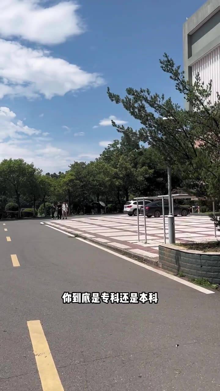 专科分数线能上的本科学校这样报志愿不亏