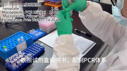 两分钟讲解PCR全流程