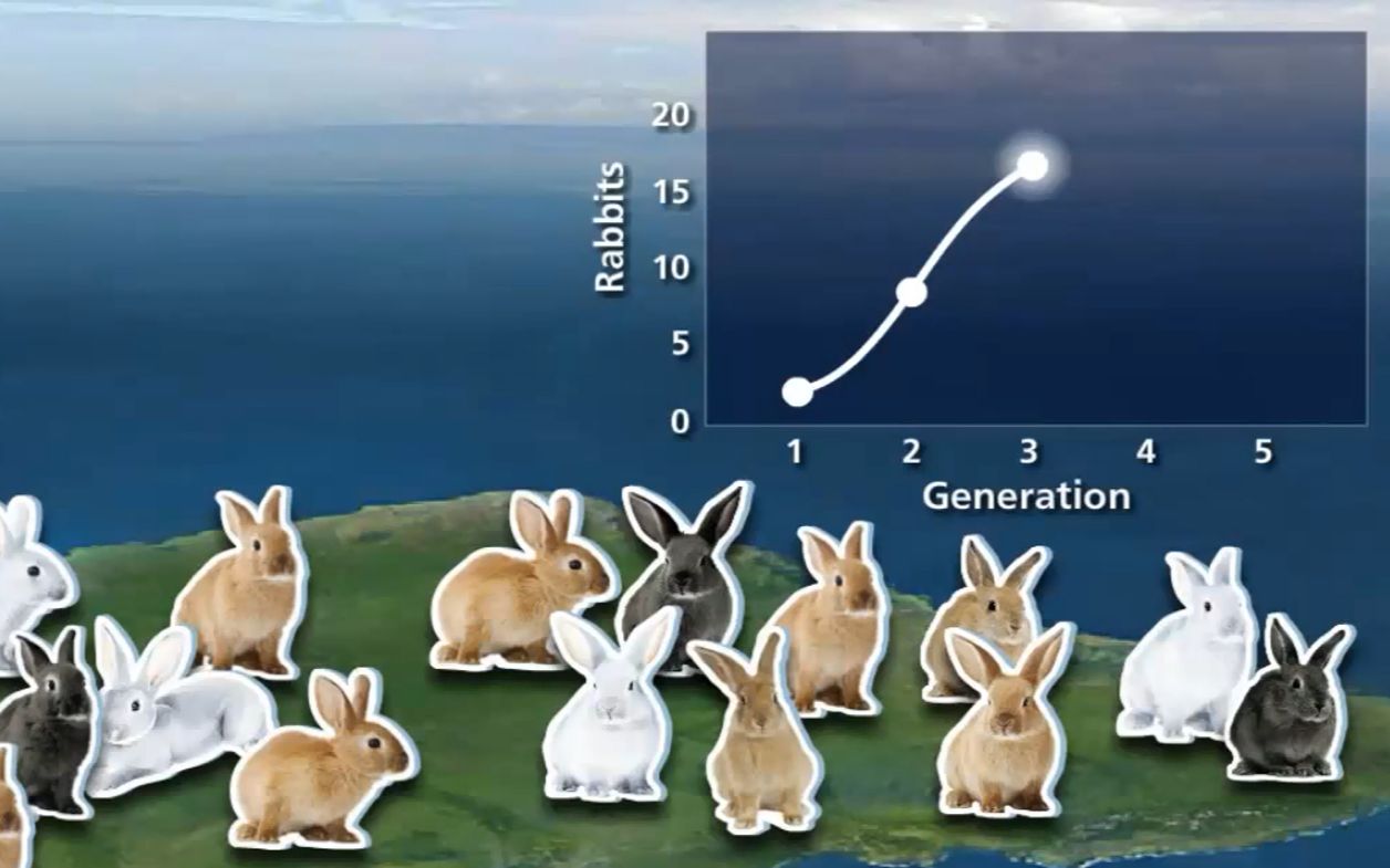 【2.5D演示】种群数量的变化(原版+字幕版)
