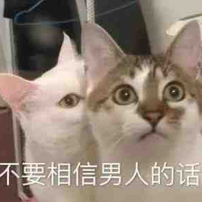 -皮皮璇- 
