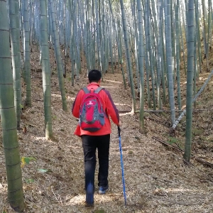宁波帐篷哥 