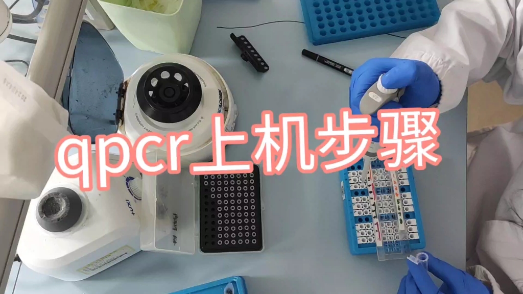 qpcr上机实验步骤