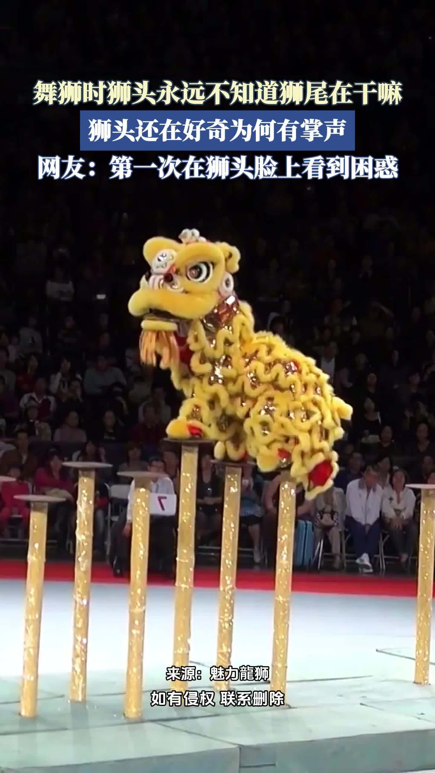 舞狮时狮头永远不知道狮尾在干嘛,狮头还在好奇为何有掌声。
