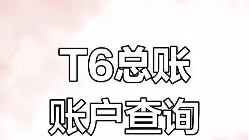 用友T6总账管理:账户查询全解析