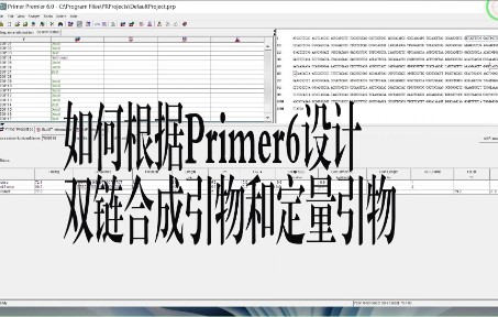 如何根据Primer6设计双链合成引物和定量引物?及设计引物的规则