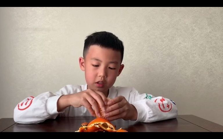 323二年级科学《通过感官来发现》