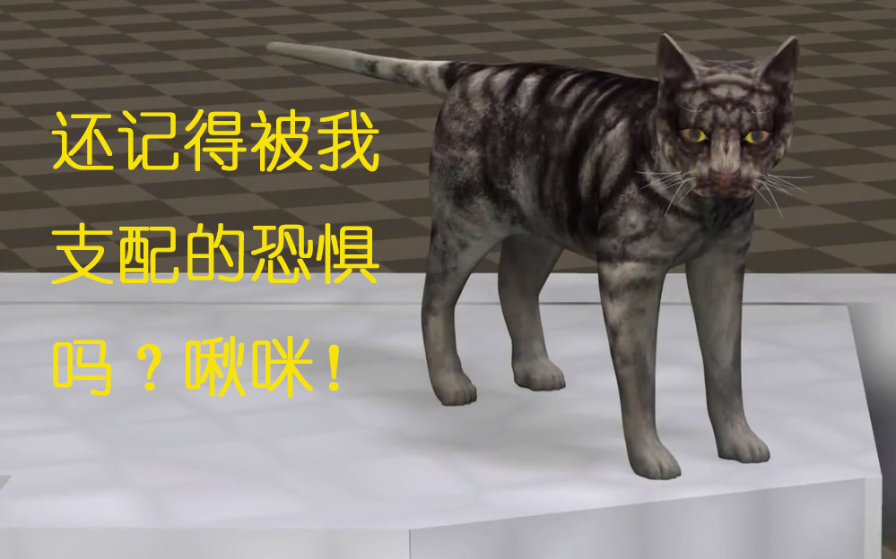 【直观解释】量子纠缠