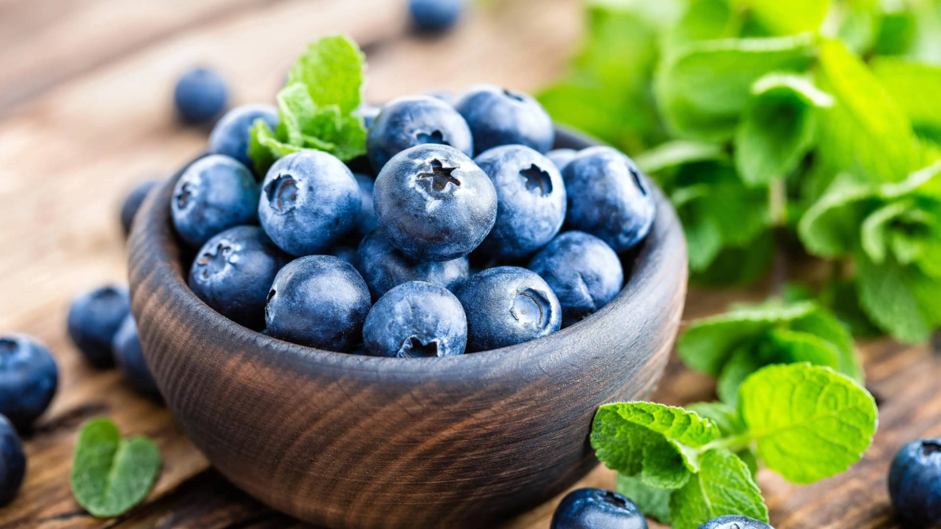 花青素主要在蓝莓的果皮里 科普中国发文:不建议大家买超大蓝莓