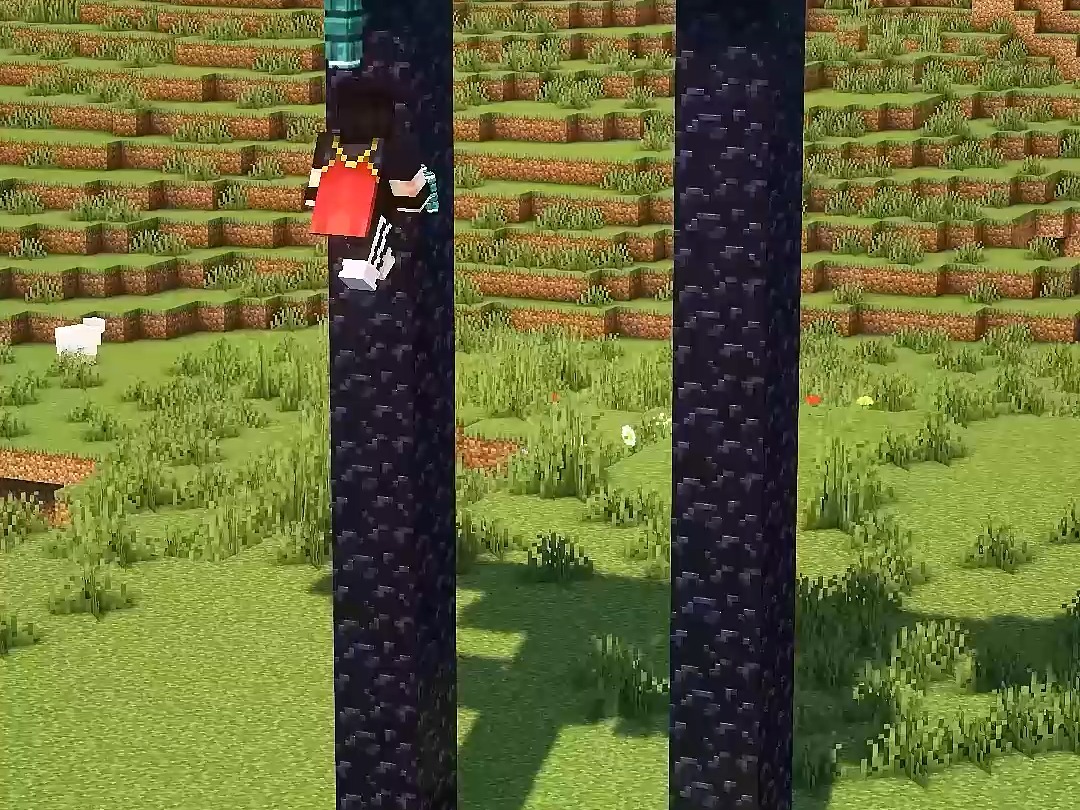 我的世界 建筑小白应该尝试的超帅地狱门