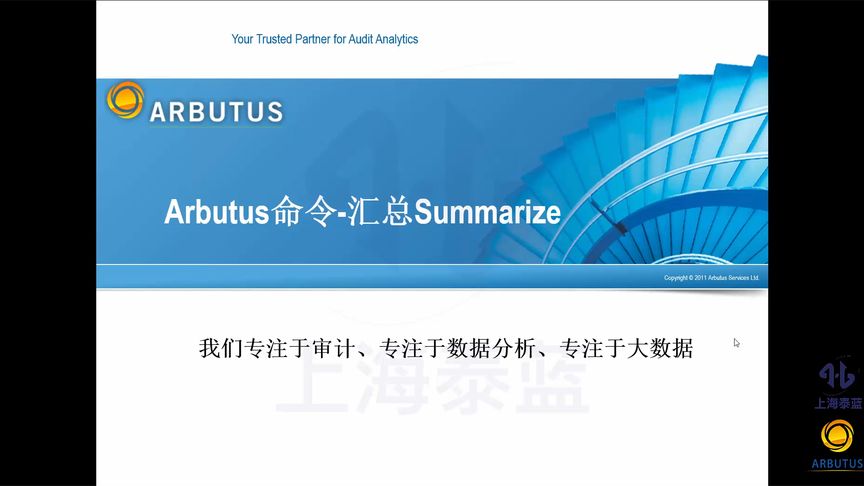 Arbutus023-命令-汇总-审计数据分析-数据分类汇总-数据审计