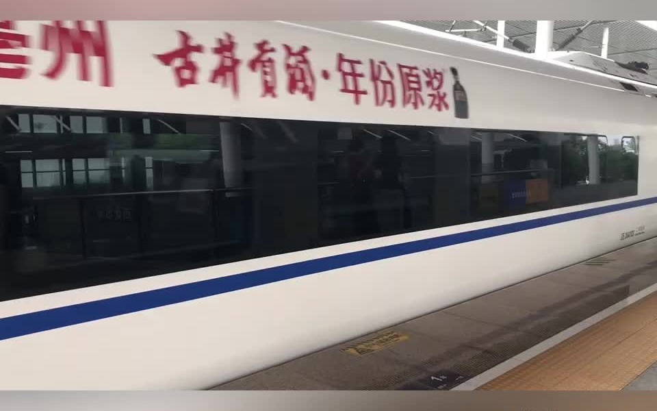 【铁路】中国速度——多种型号动车组进出站合集