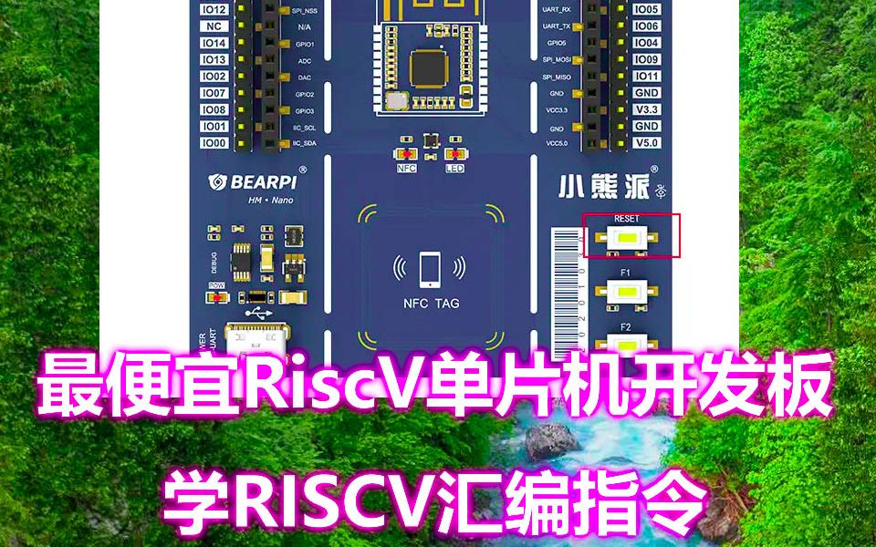 最便宜RiscV单片机开发板学RISCV汇编指令