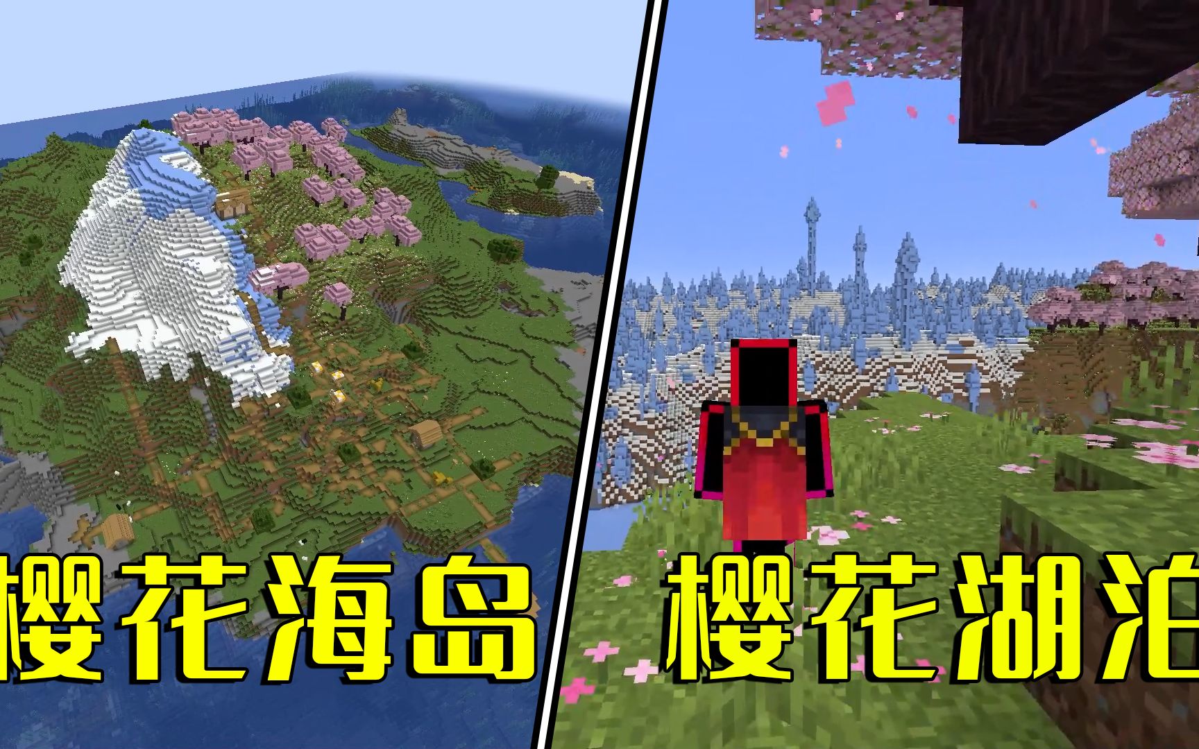 我的世界:6个MC1.20生存种子,樱花海岛,樱花湖泊_单机游戏热门视频