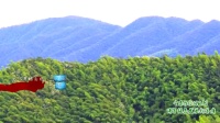 全面推行林长制,谱写绿色发展新篇章