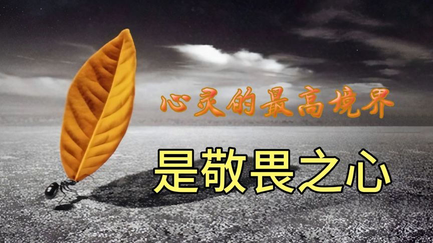心灵的最高境界是敬畏之心