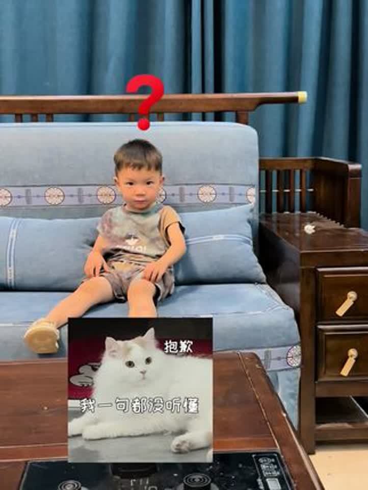 俺们家的首次家庭会议,就这样完美收官,哈哈哈#冯小蛋 #记录我的农村...