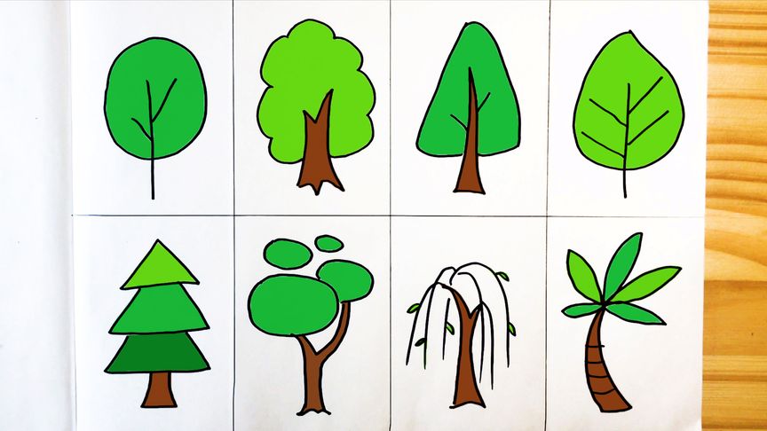 植树节学画8种不同的大树简笔画,共建我们美丽的家园