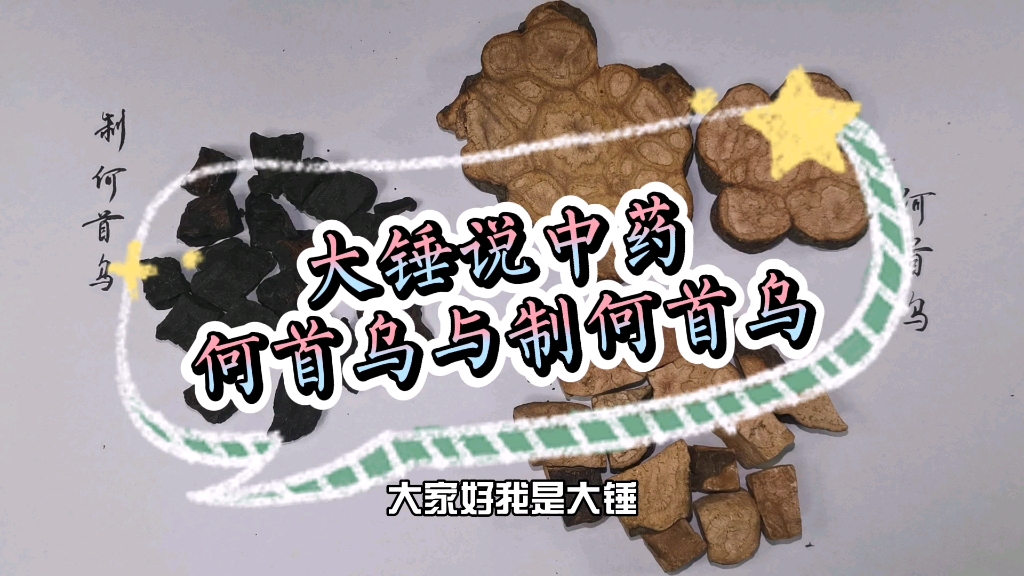 大锤说中药—何首乌与制何首乌