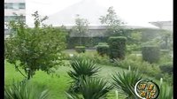 《城建者说》——屋顶绿化(上)