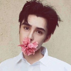 没有文化的老咸鱼 