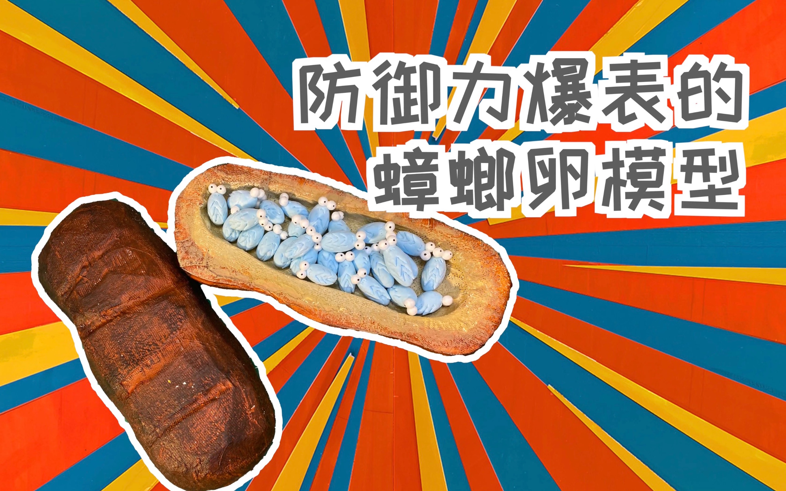 【模型师老原儿】蟑螂卵竟然是一个防御力爆表的生命舱？！