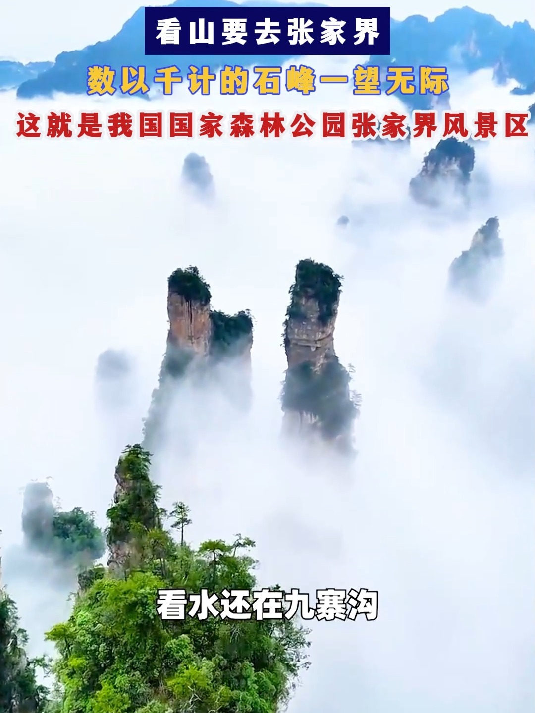 看山要去张家界,数以千计的石峰一望无际,这就是我国国家森林公园...