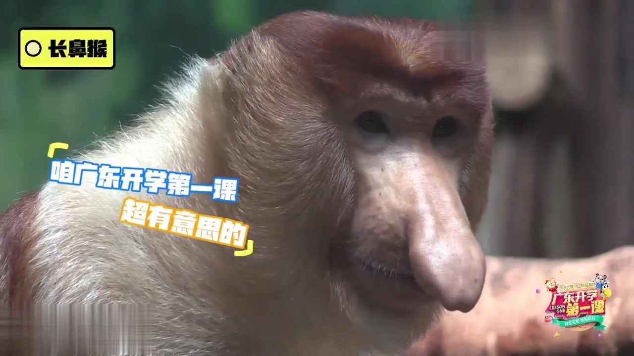 get新学期安全知识大礼包!2024广东开学第一课(秋季)即将开课