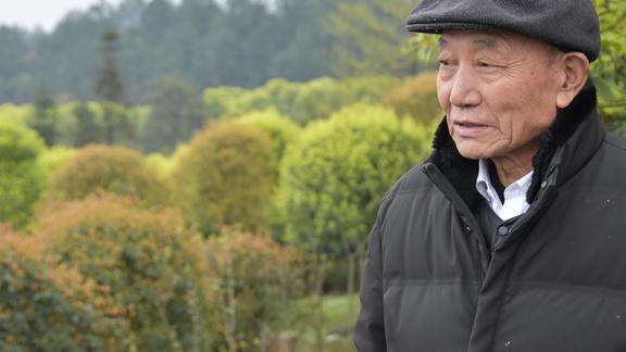 祖孙四代入山林,23年植树造林40多万棵