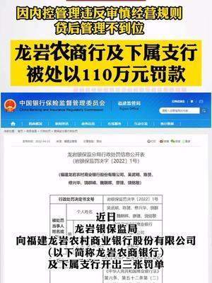 因内控管理违反审慎经营规则、贷后管理不到位,龙岩农商行及下属.