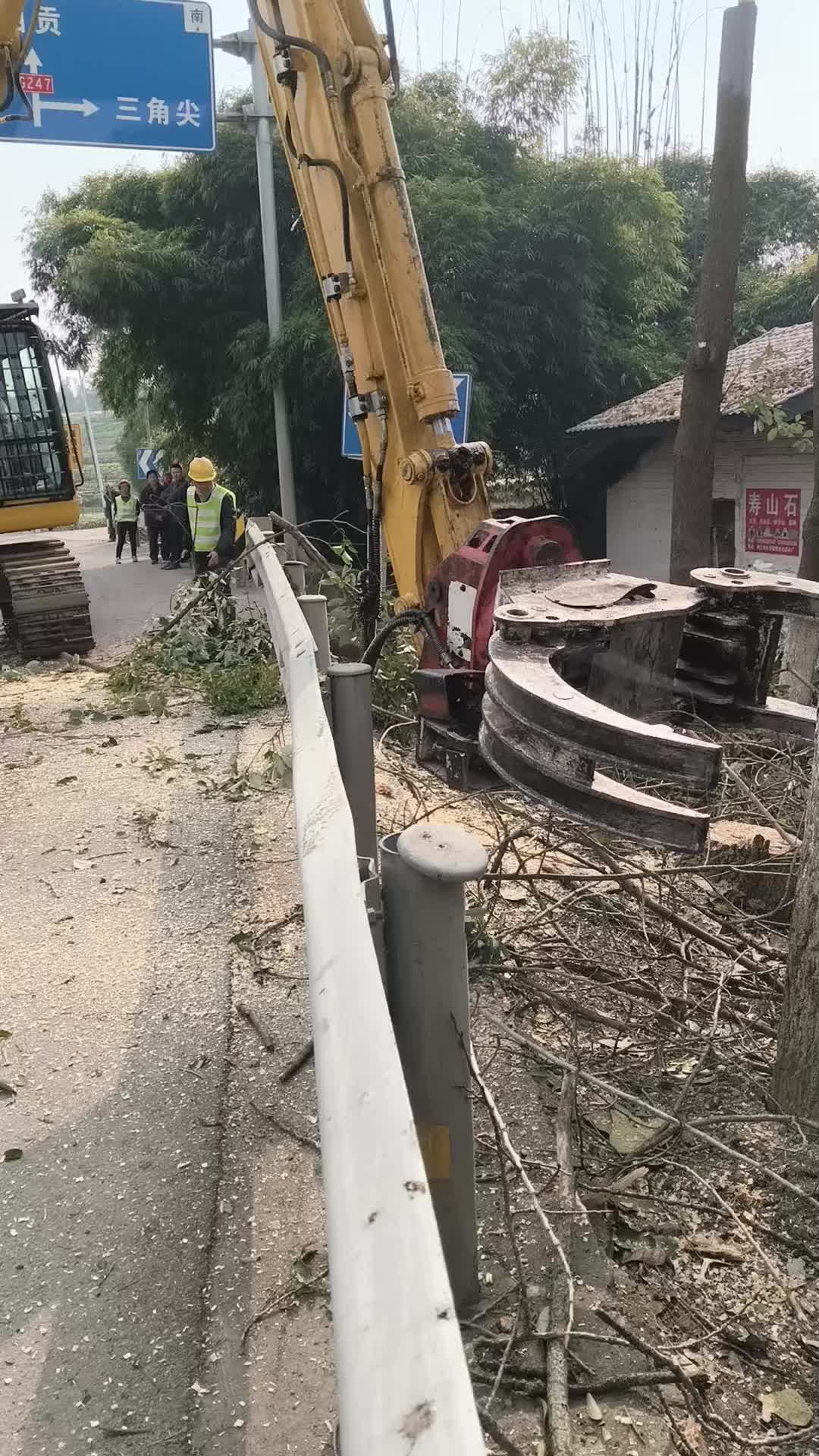 一天不听链条声音,浑身难受ߘ�!#抱夹锯砍树 #树枝修剪 #行道树砍伐 ...