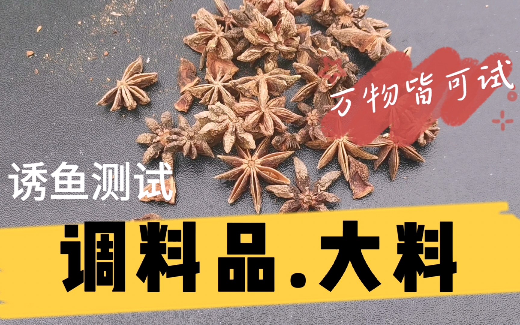 钓鱼用调味品【大料】能不能起到诱鱼作用?水下测试以后才能得到答案