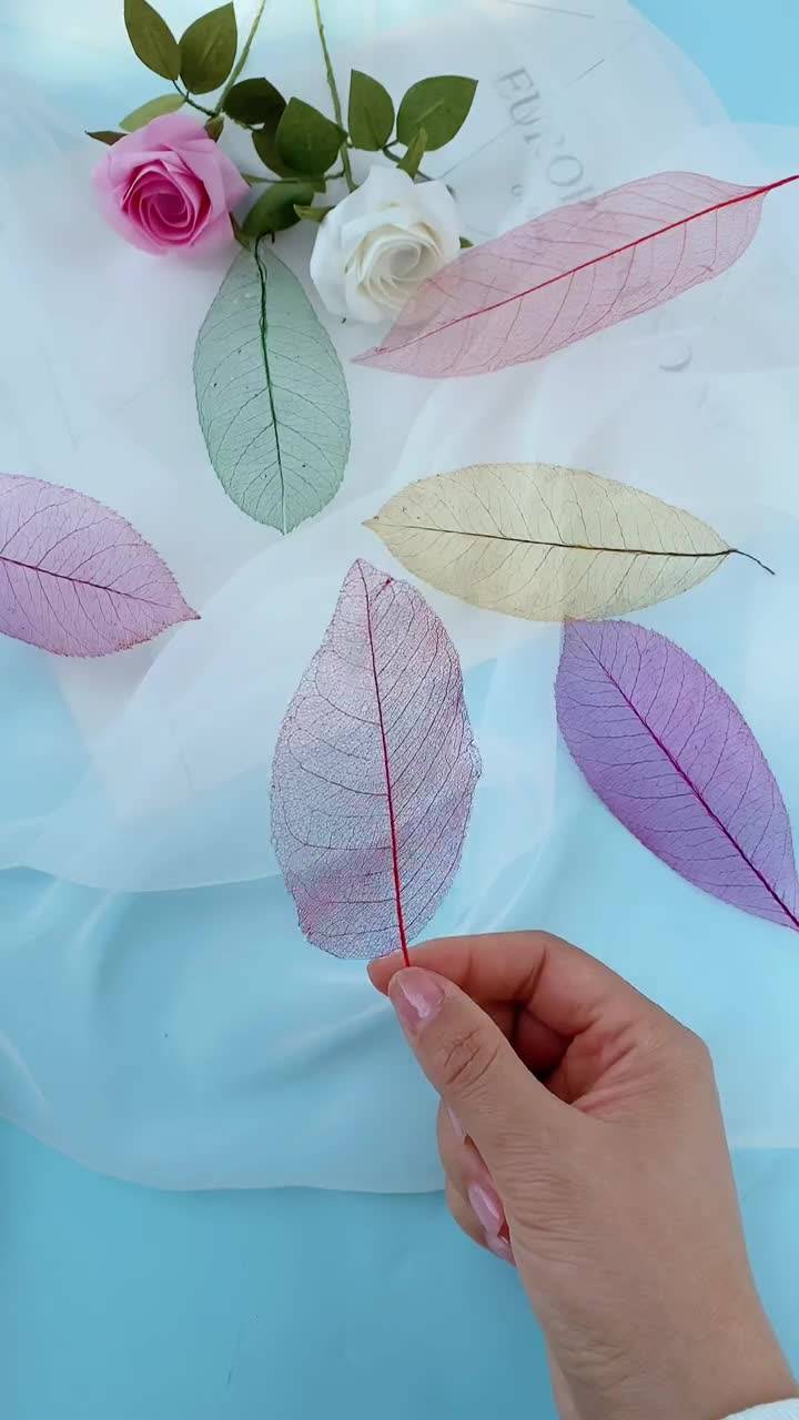 手工:"叶脉书签",好看的叶脉书签原来这么简单