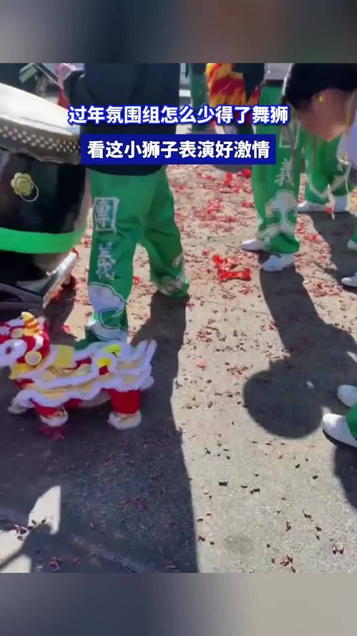 过年氛围组怎么少得了舞狮,看这小狮子表演好激情