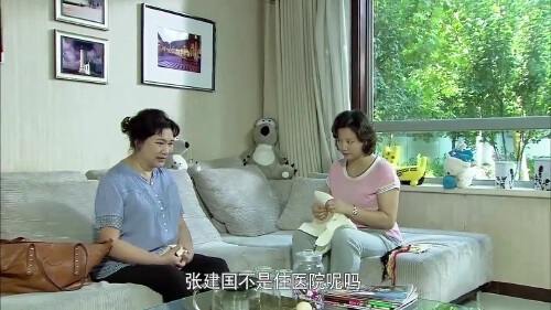 婚前协议:前夫住院好不了,只有见亲家母才行,前妻哭着求她帮忙