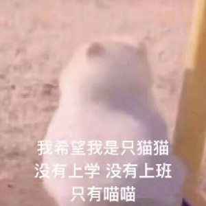 巴里咕19819831235 