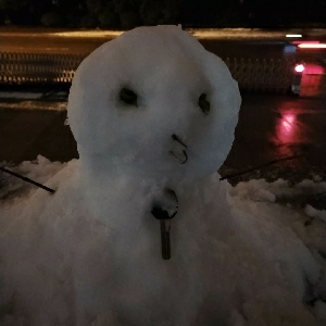 玩乐崽 