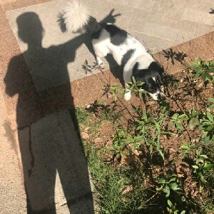 尼玛君hh 