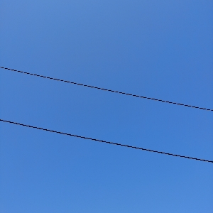 狂奔的冯 