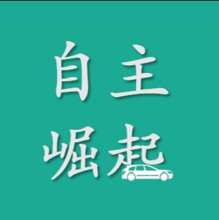 自主品牌崛起之路 