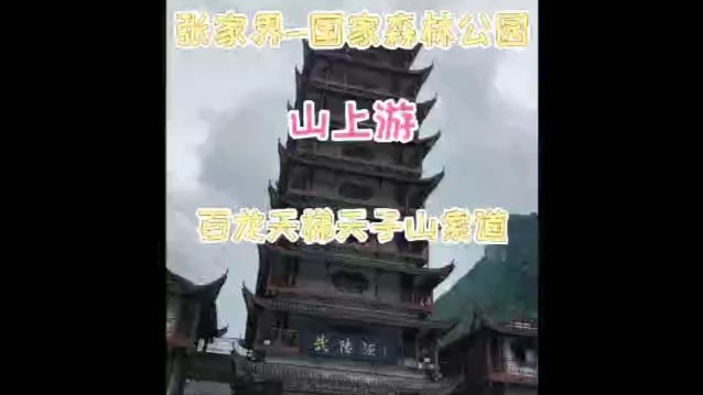 张家界森林游玩,空气真是好。