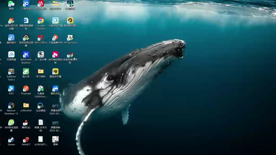 老鱼通用免费版 全局代理使用教程