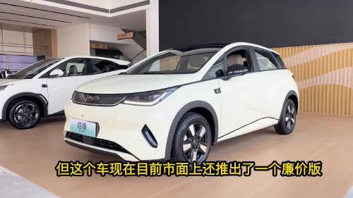 十万级纯电代步车,比亚迪海豚直接选中配时尚版!