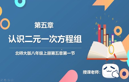《认识二元一次方程组》八年级 初中数学