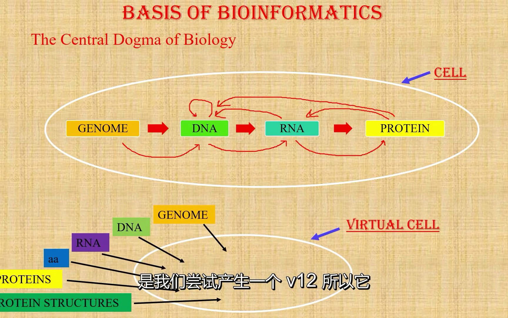 生物信息学导论与初学者总结