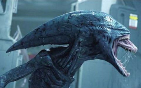 普罗米修斯删减片段,工程师说了什么?Prometheus (Alien) 2012(@Bitch...