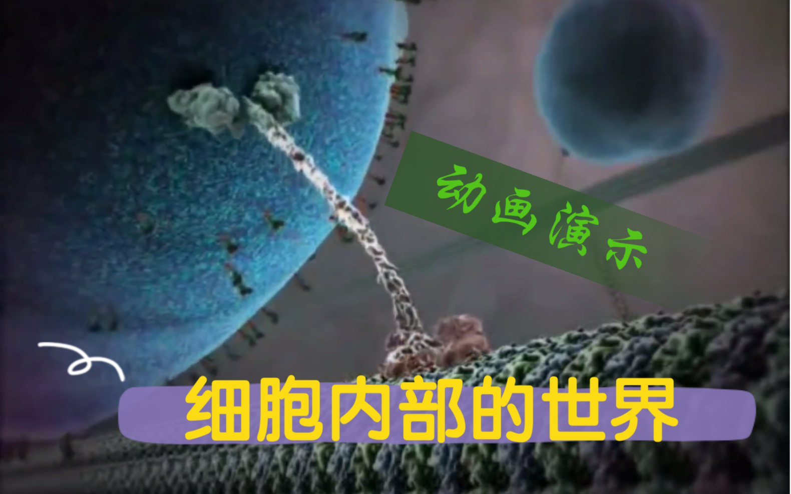 ...一个最简单的细胞,也比迄今为止设计出的任何智能电脑更加精巧!”